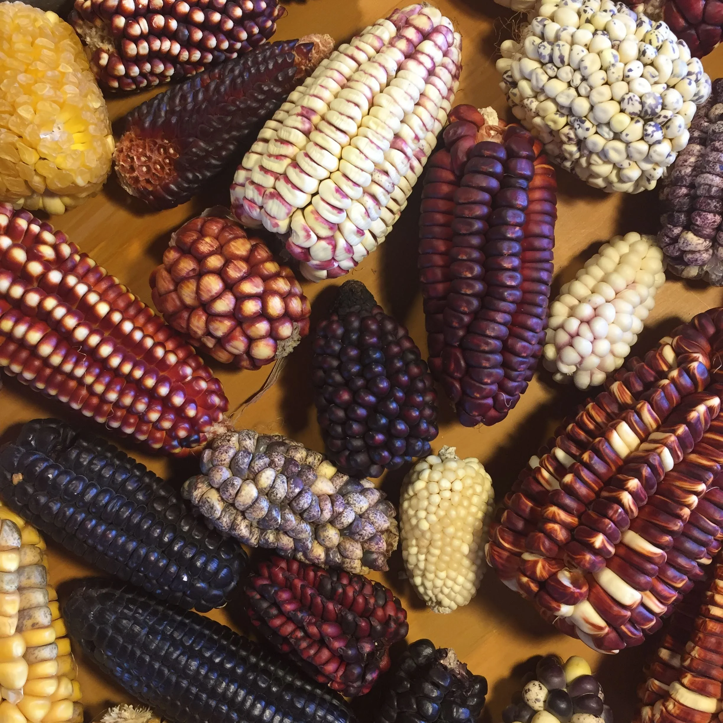 15 of the Best Restaurants in Lima - By a Local — Go Ask A Local