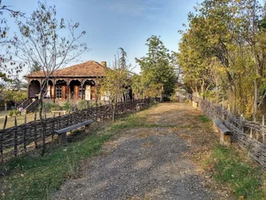 A Local’s 10-Day Georgia Itinerary - Countrywide Road Trip — Go Ask A Local