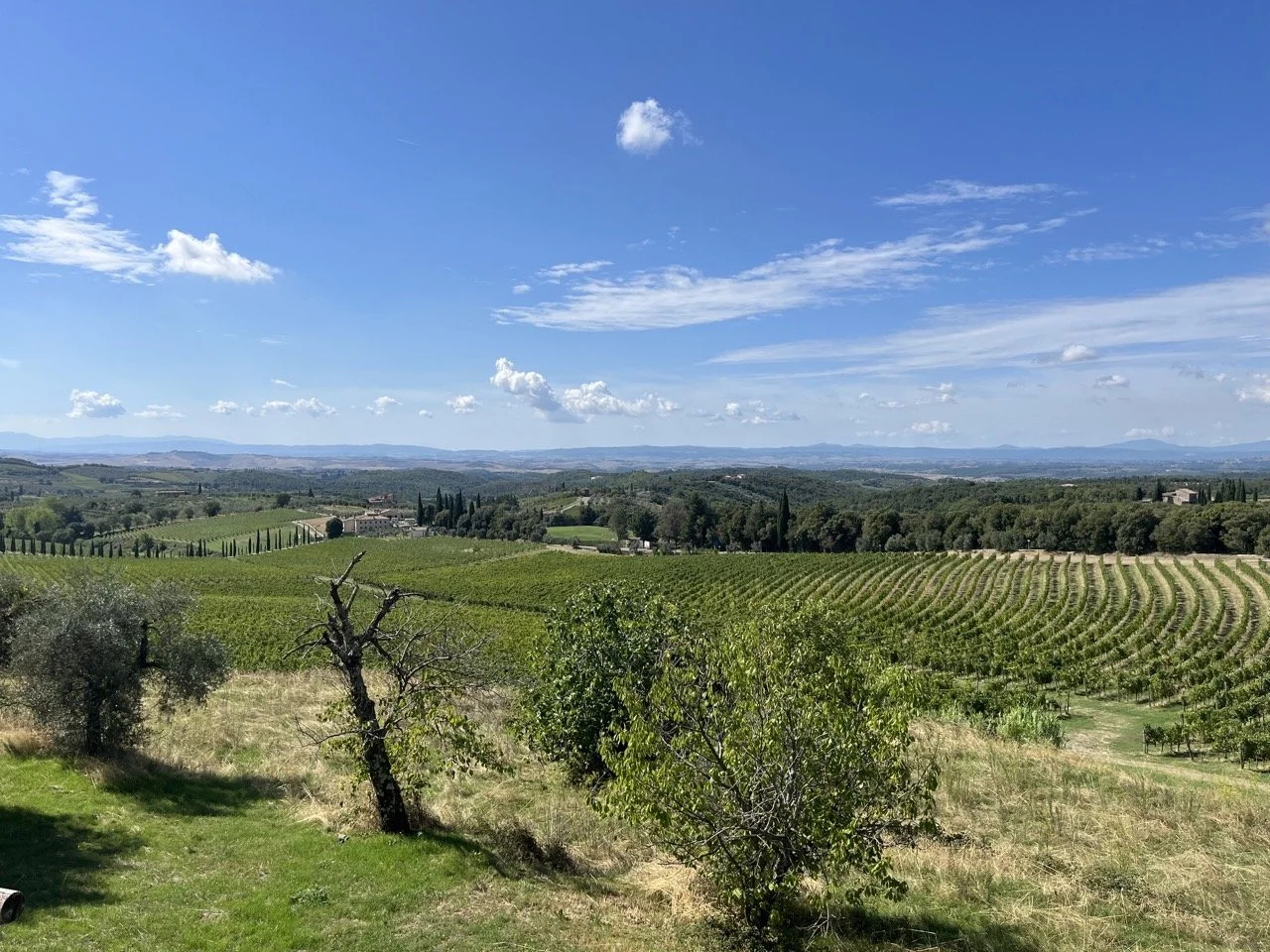 Guide to Chianti, Italy - Tuscan Wine Country — Go Ask A Local