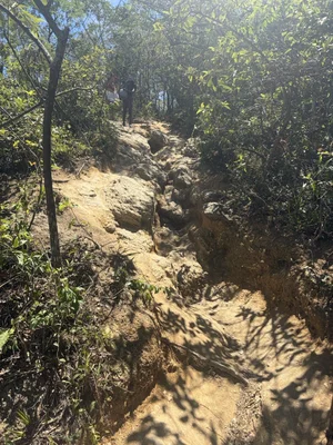Guide to Hiking Morro Dois Irmãos (Two Brothers Mountain) — Go Ask A Local