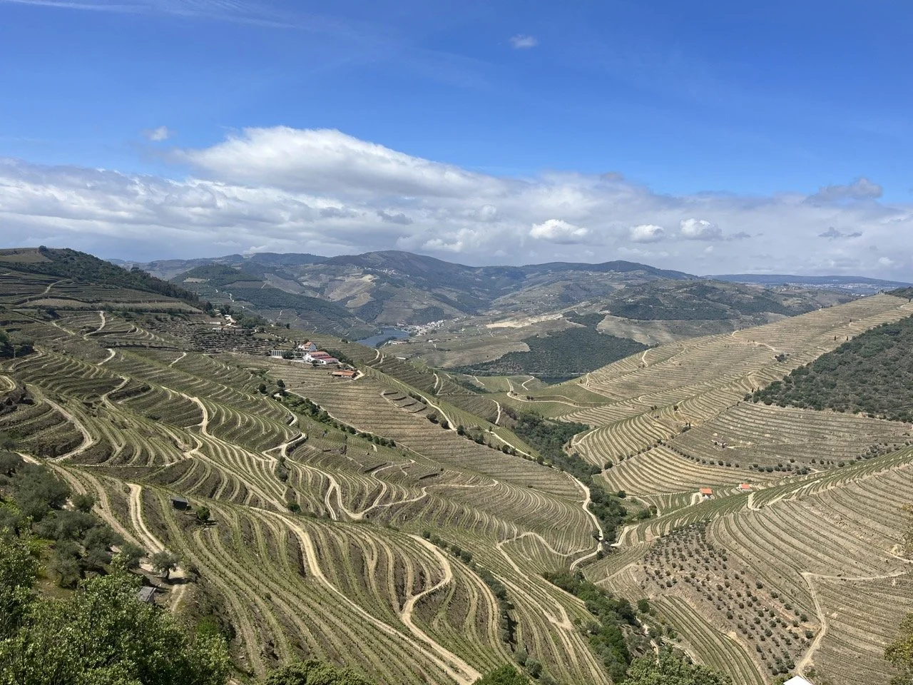 A Local's Guide to Visiting Porto, Portugal — Go Ask A Local