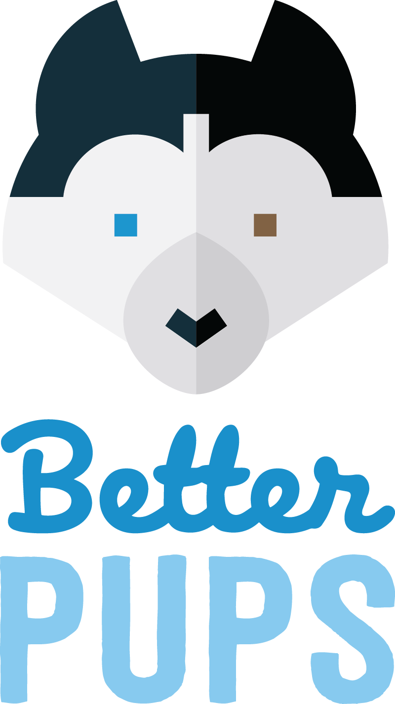 Better Pups Dog Training - Force-Free Dog Training