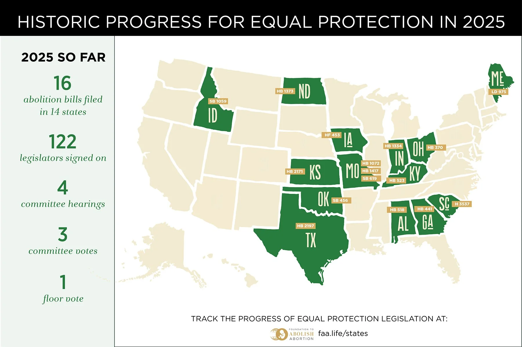 Equal Protection for Preborn Babies Sees Record Progress in 2025 ...