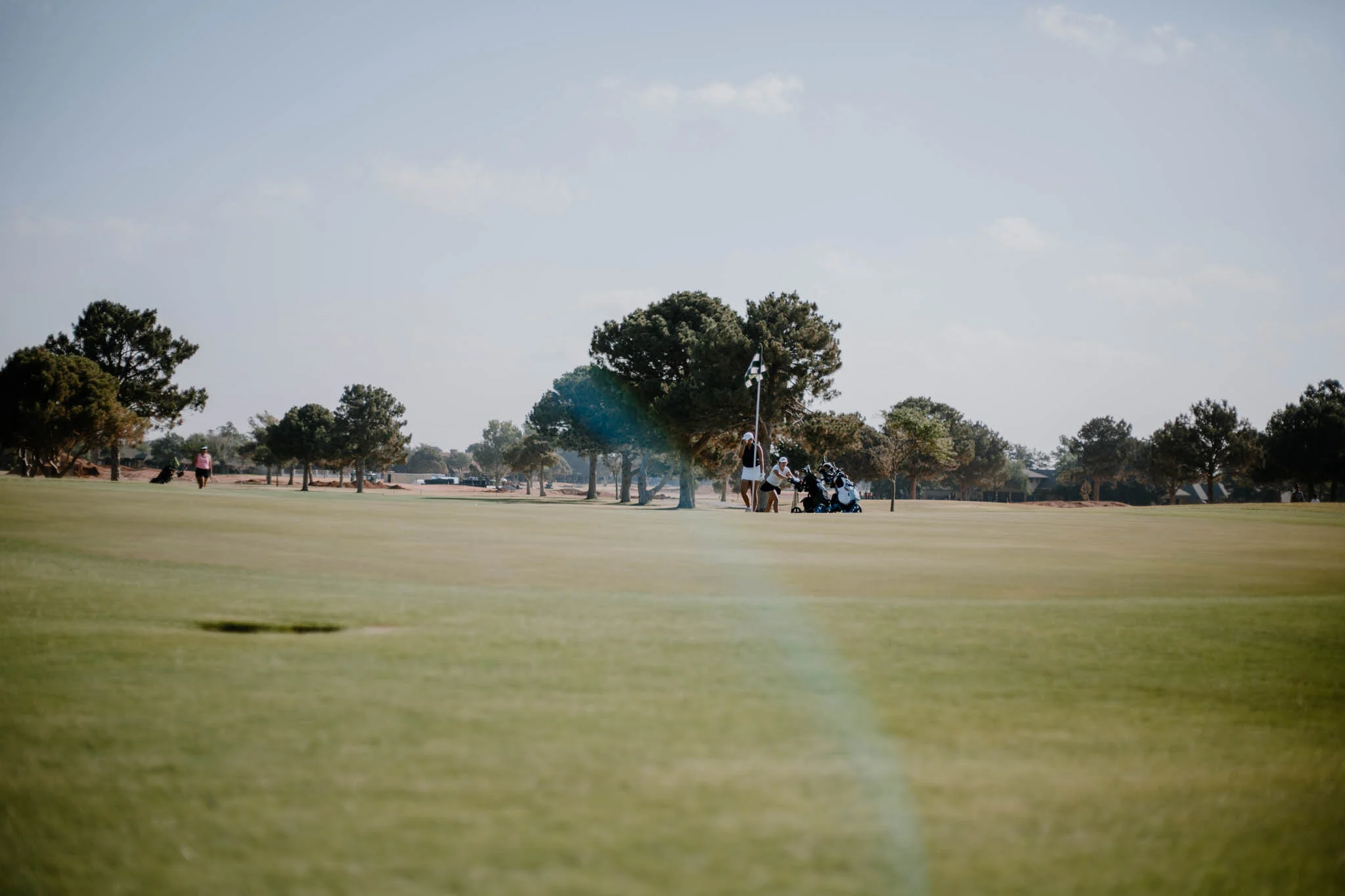 Welcome to Green Tree HOA