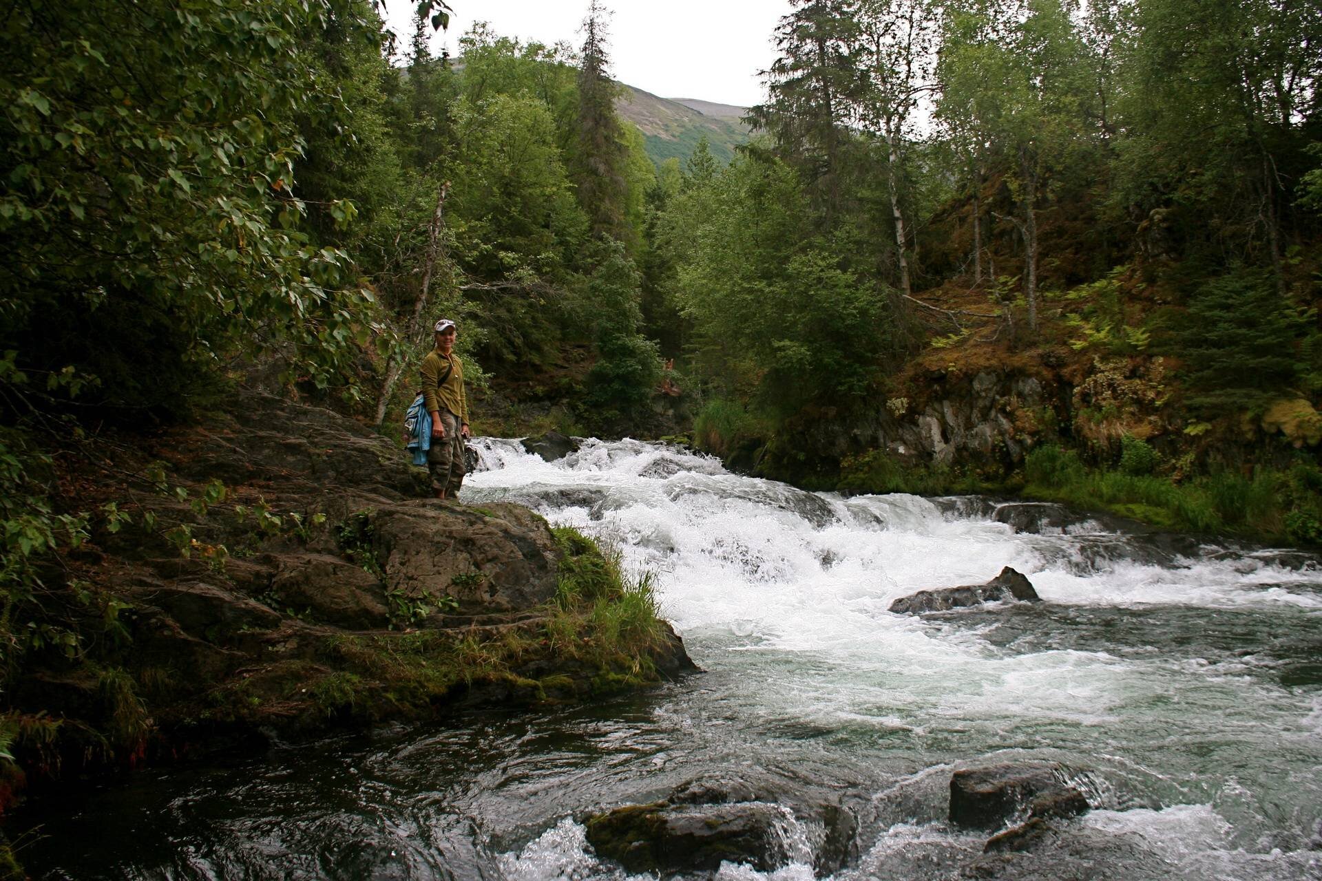 Activities — Grizzly Ridge