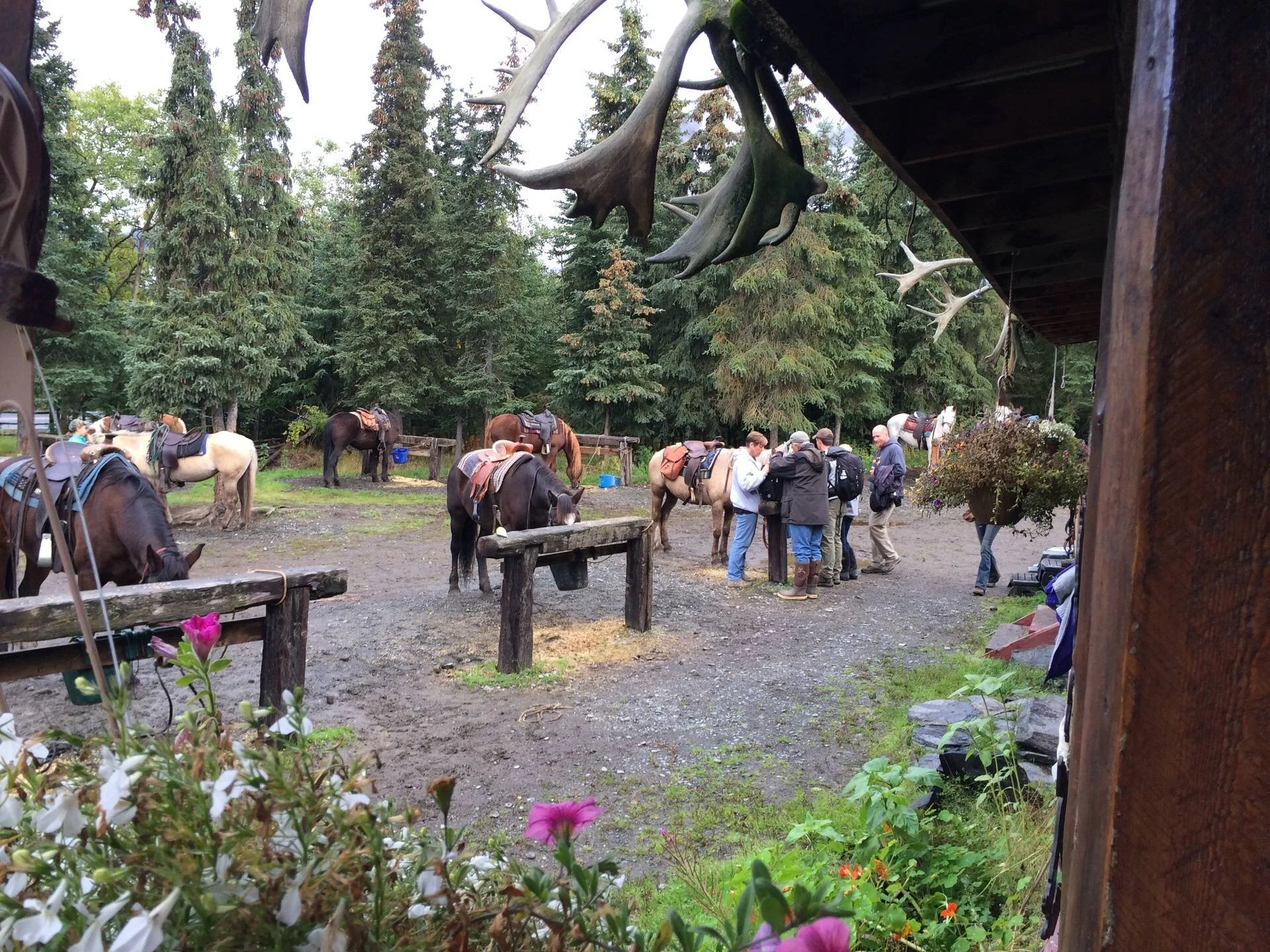 Activities — Grizzly Ridge