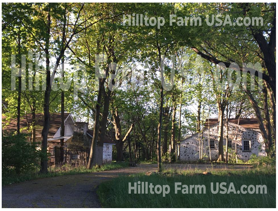 Hilltop Farm USA, est 1846