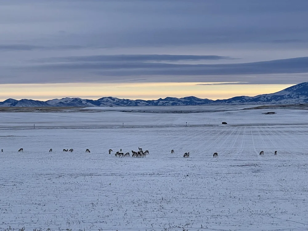 McLaughlin Research Institute
