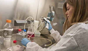 Research Opportunities — McLaughlin Research Institute