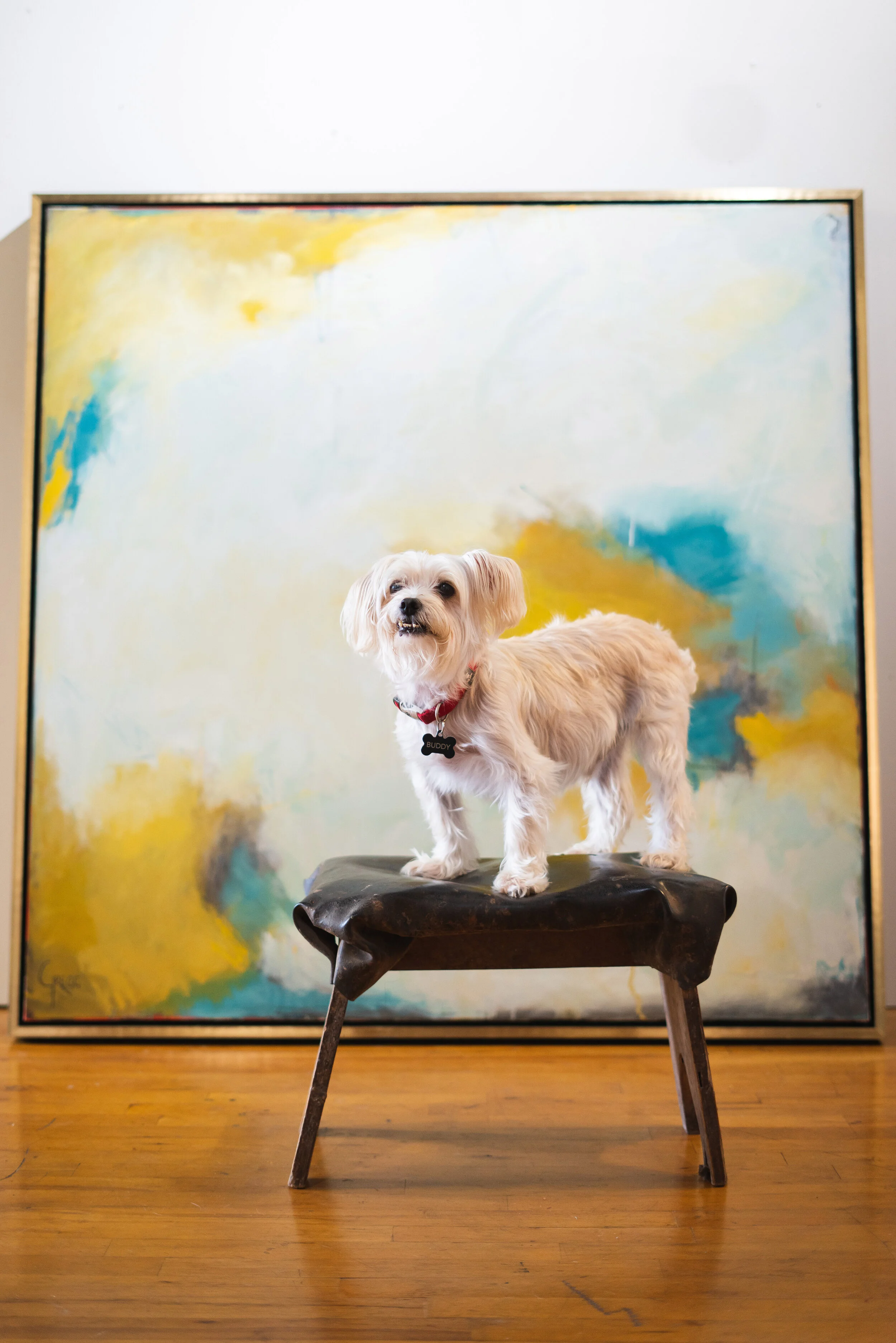 Marcy Gregg - Abstract Artist