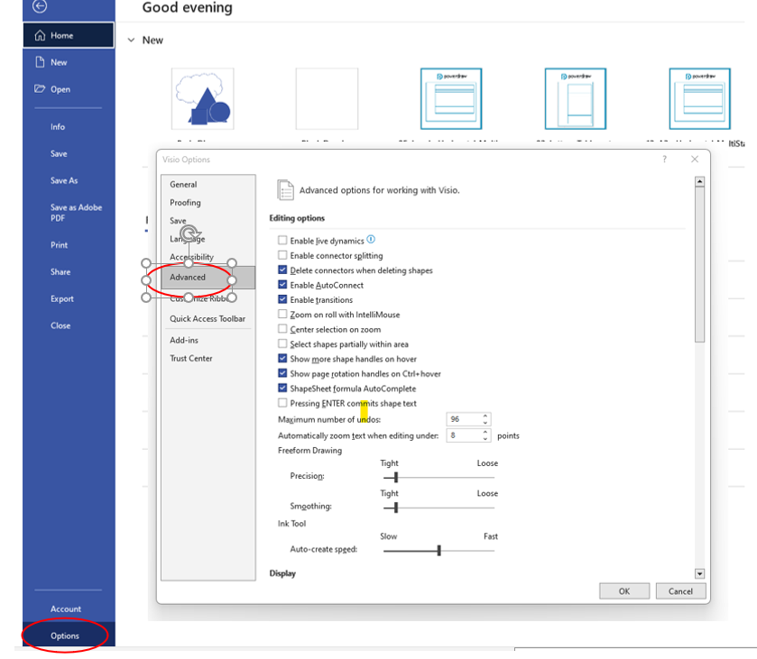 Visio Option Settings — powerdraw
