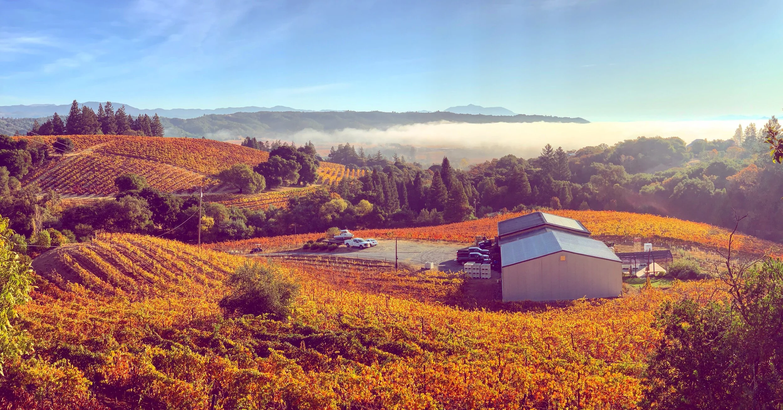 WINERY ESTATE — Hawley Winery