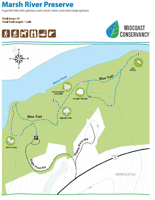 Marsh River Preserve — Midcoast Conservancy