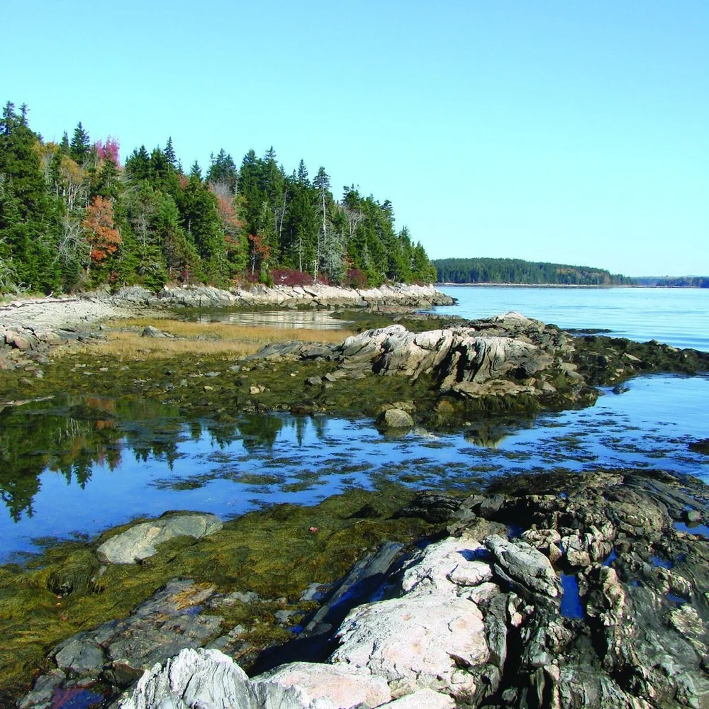 Midcoast Conservancy