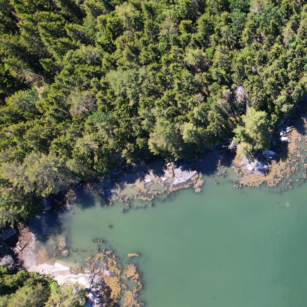 Midcoast Conservancy