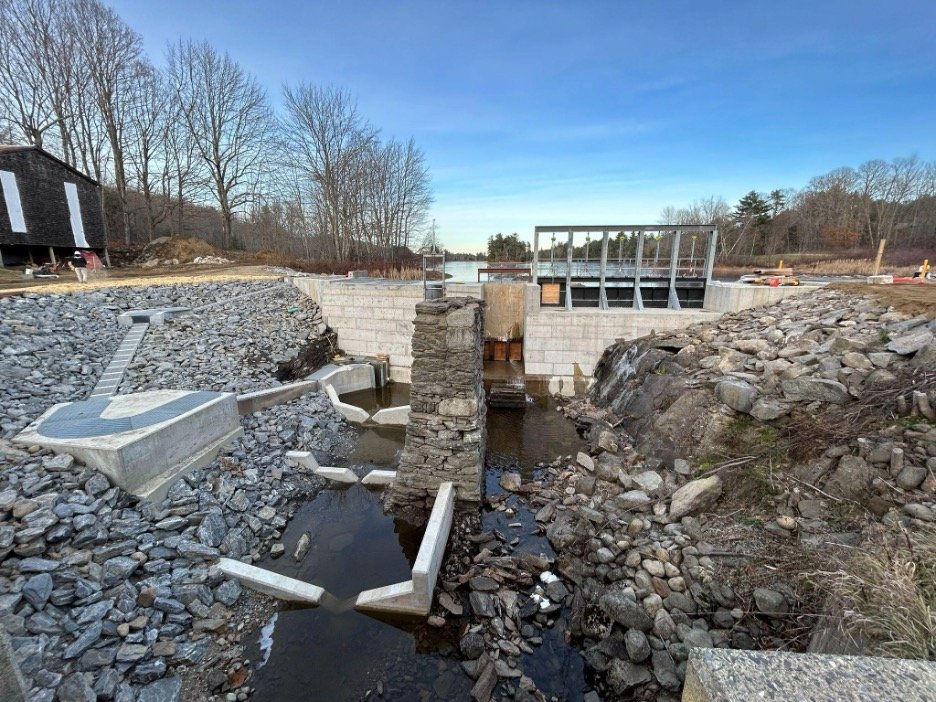 129,000 Fish Now have Access to Branch Pond — Midcoast Conservancy
