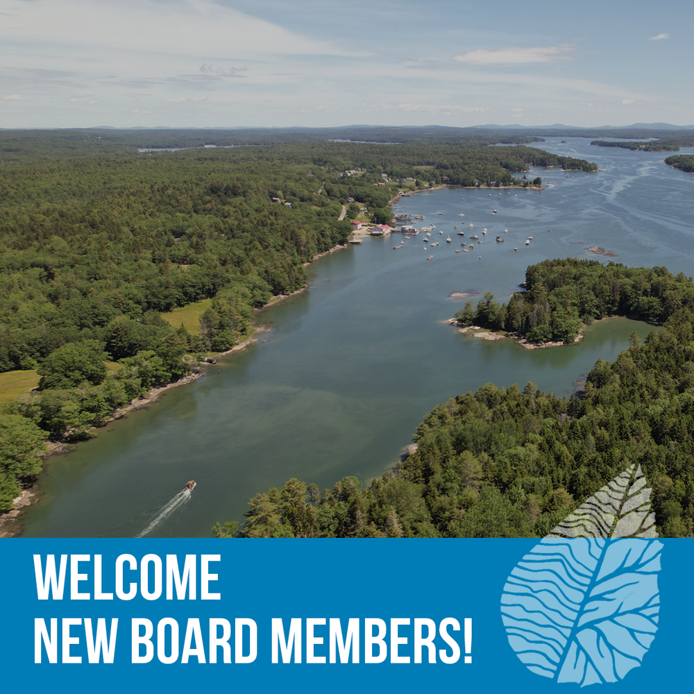 New Board Members at Midcoast Conservancy — Midcoast Conservancy