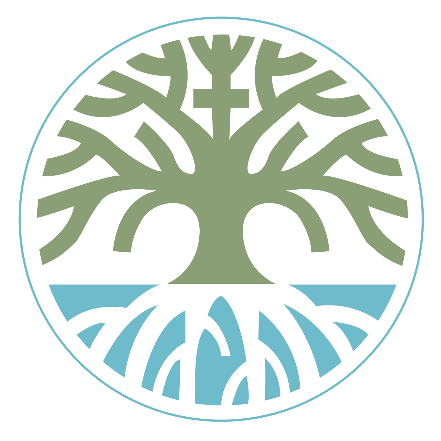 ABOUT US — Life Branch Church