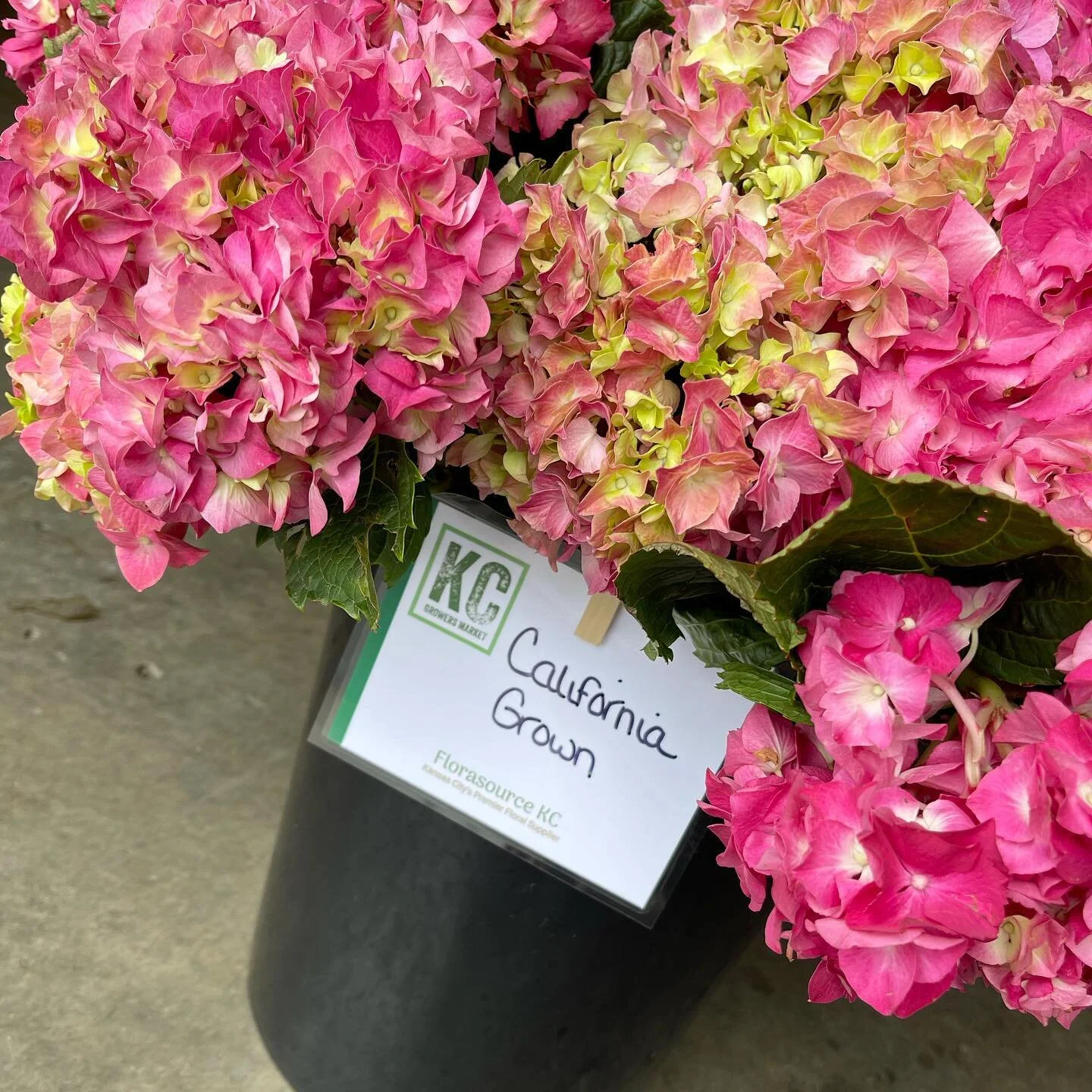 News — KC Bloom Hub