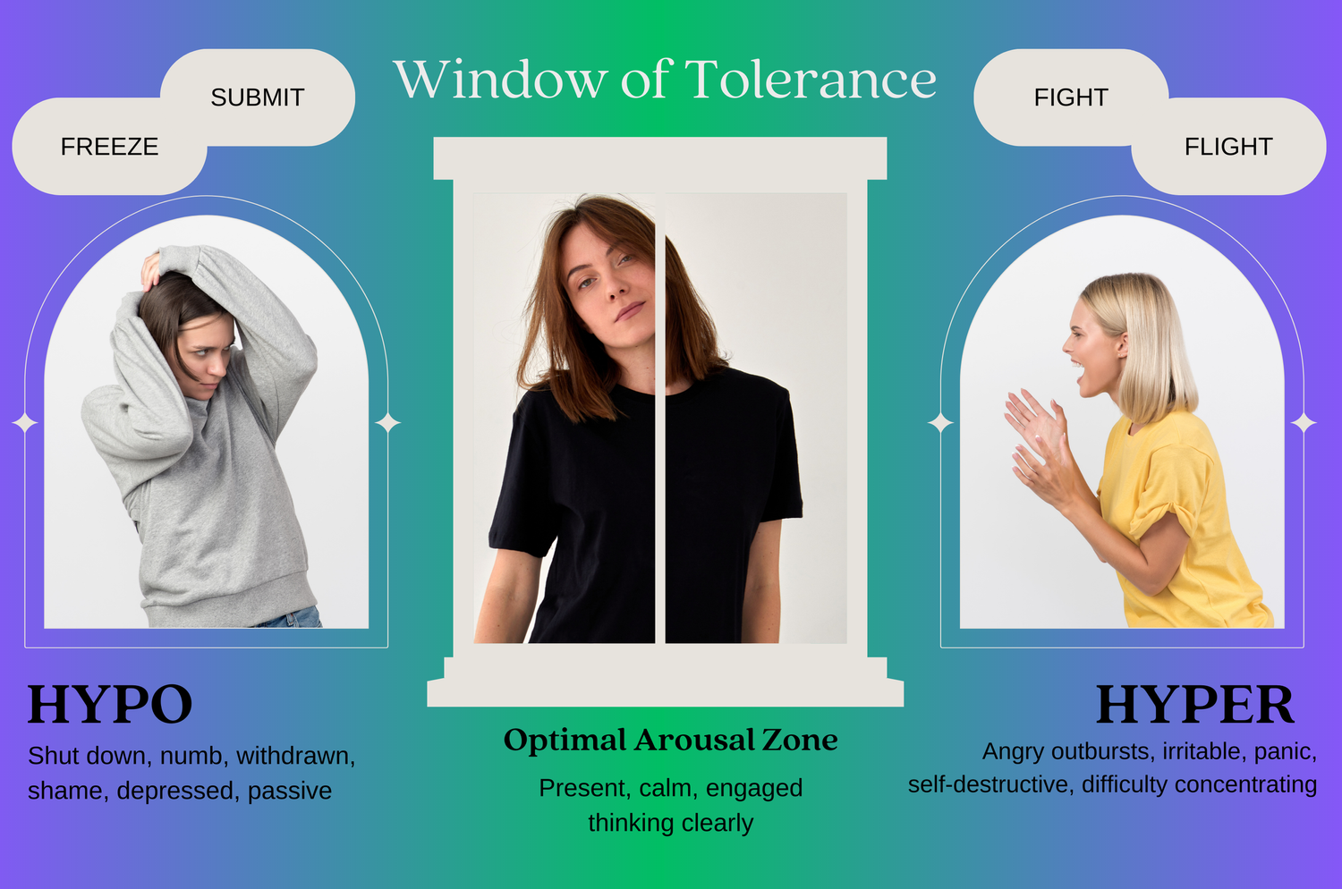 Understanding the Window of Tolerance: A Guide to Trauma Processing ...