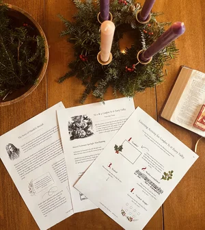 Classical Music Education for the Home and Classroom