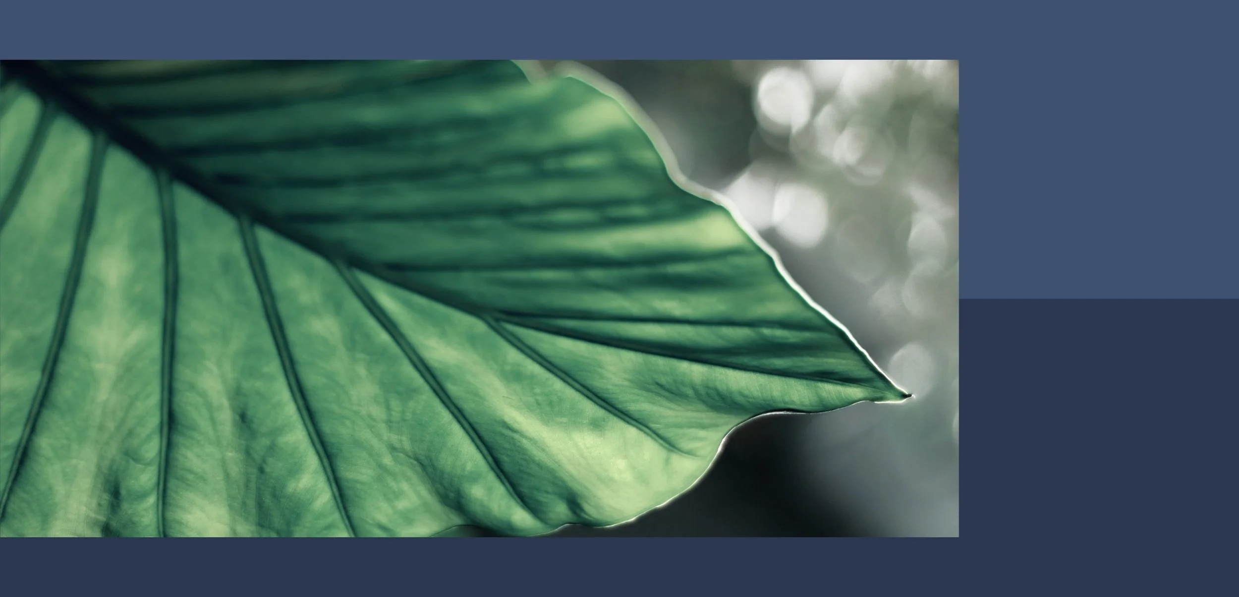 candi | solar, made simple