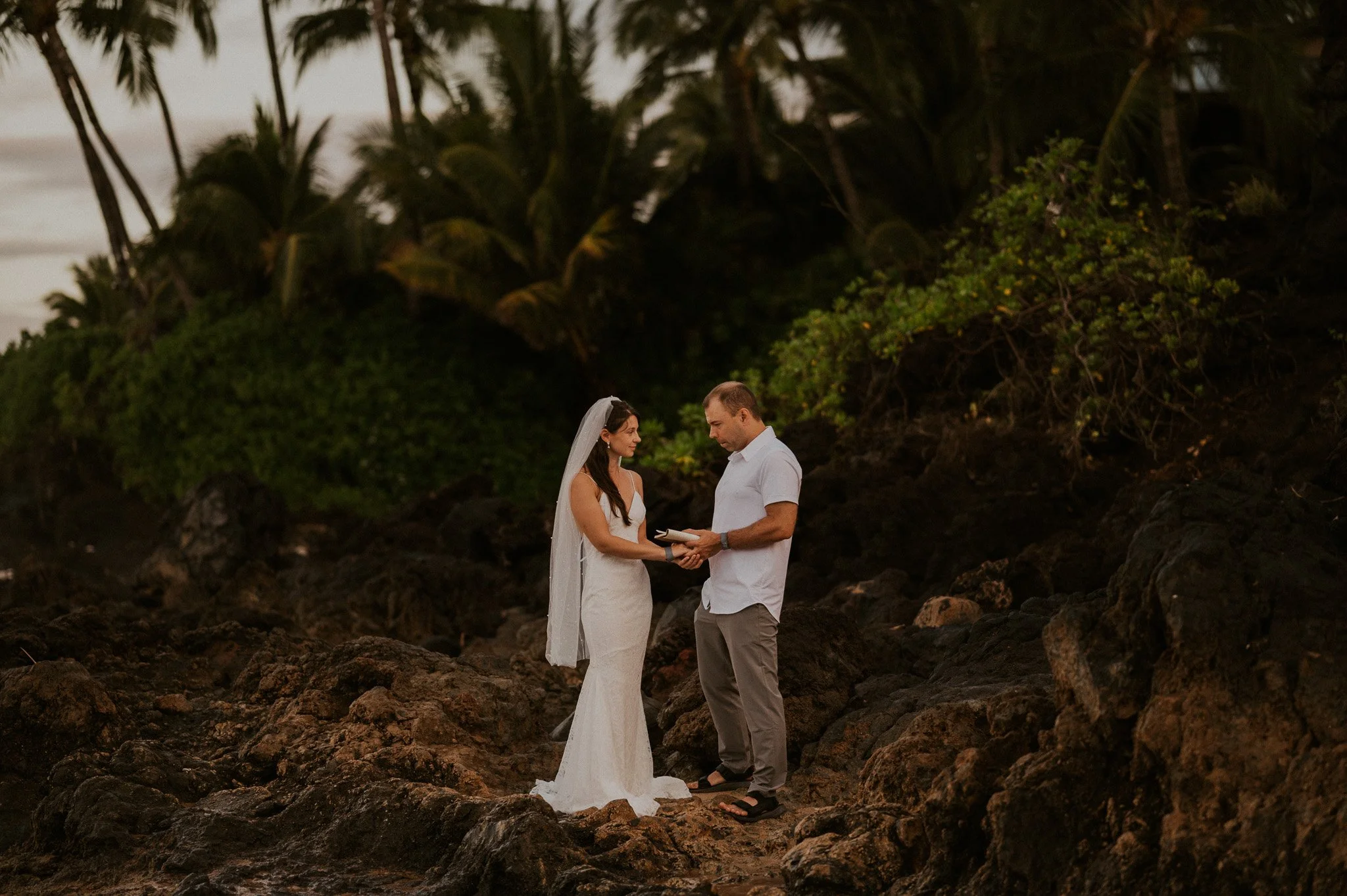 Danielle & Ray’s Beach & Cliffside Maui Elopement ...