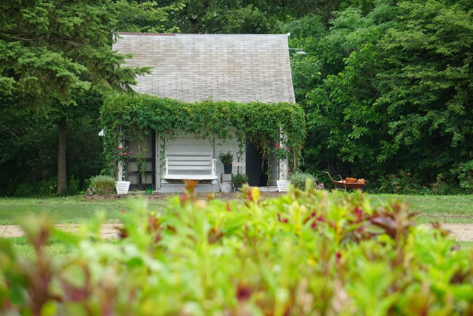 Fleurish Flower Farm + Designs