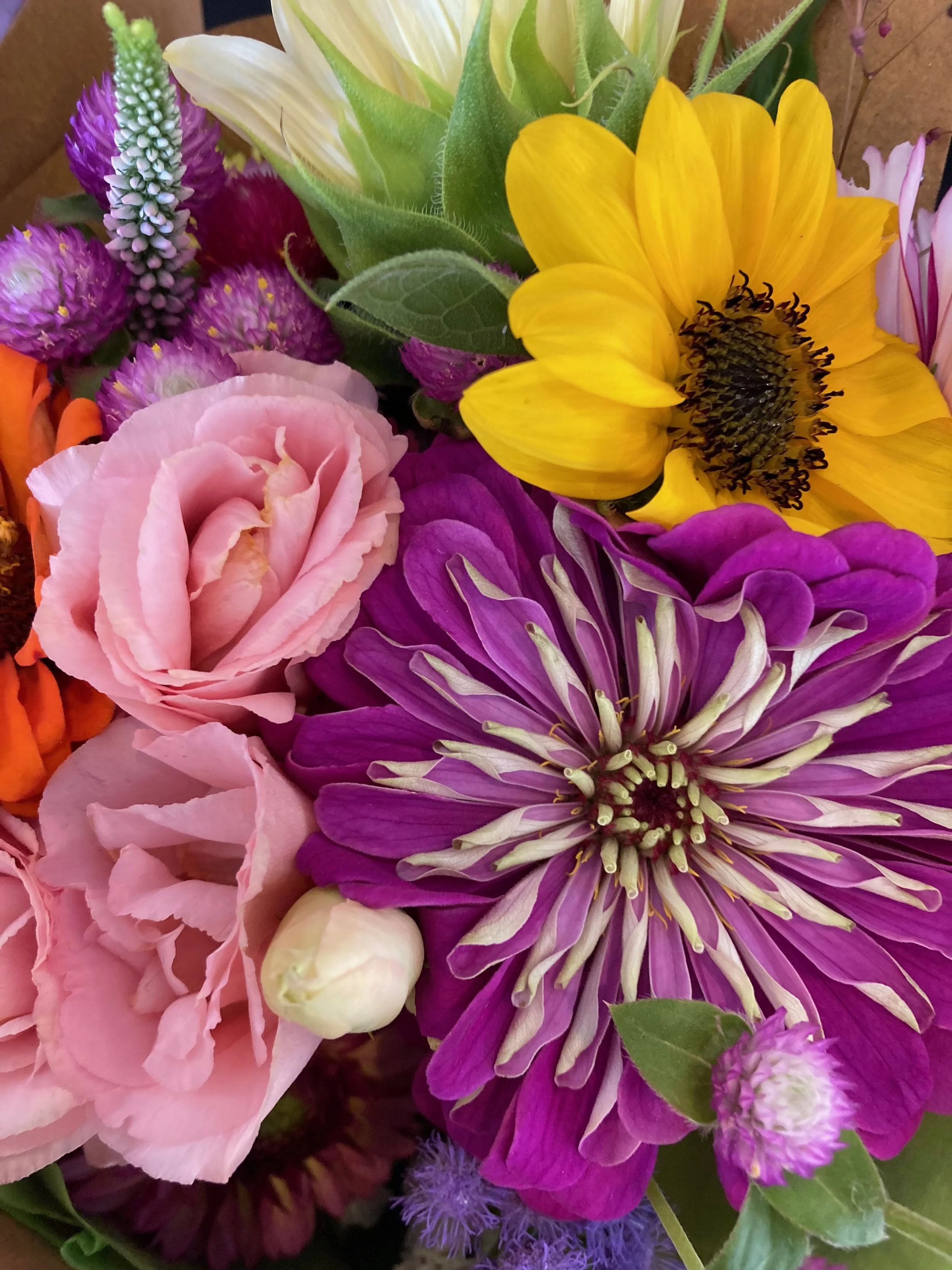 Hoofprint Farm Local Rhode Island Flower Farm