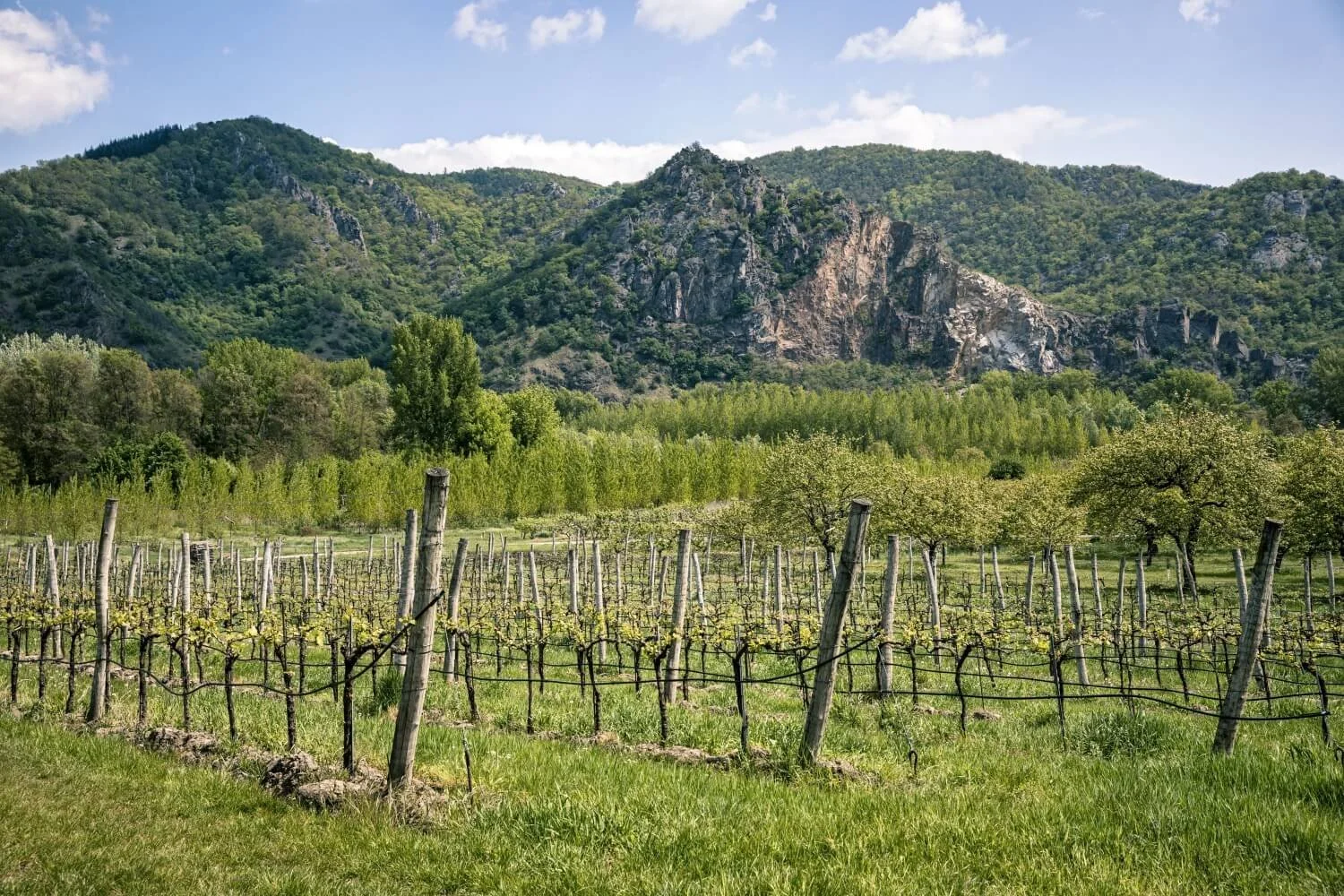 How to spend 3 days in Austria’s Wachau wine region — Wine Keller