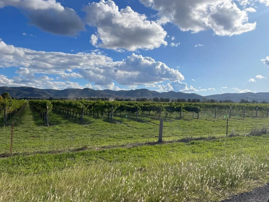 Our Mudgee wine tour - best Mudgee wines - best Mudgee wineries to ...