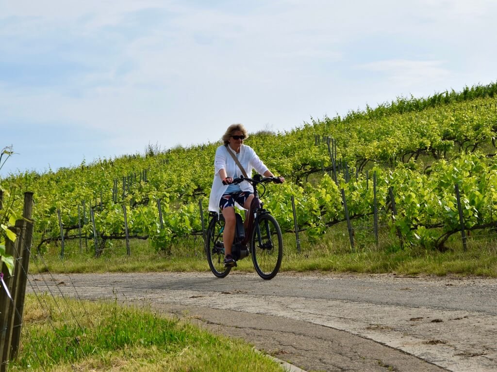 Recommendations for champagne tasting in Epernay — Winekeller -Tailored ...