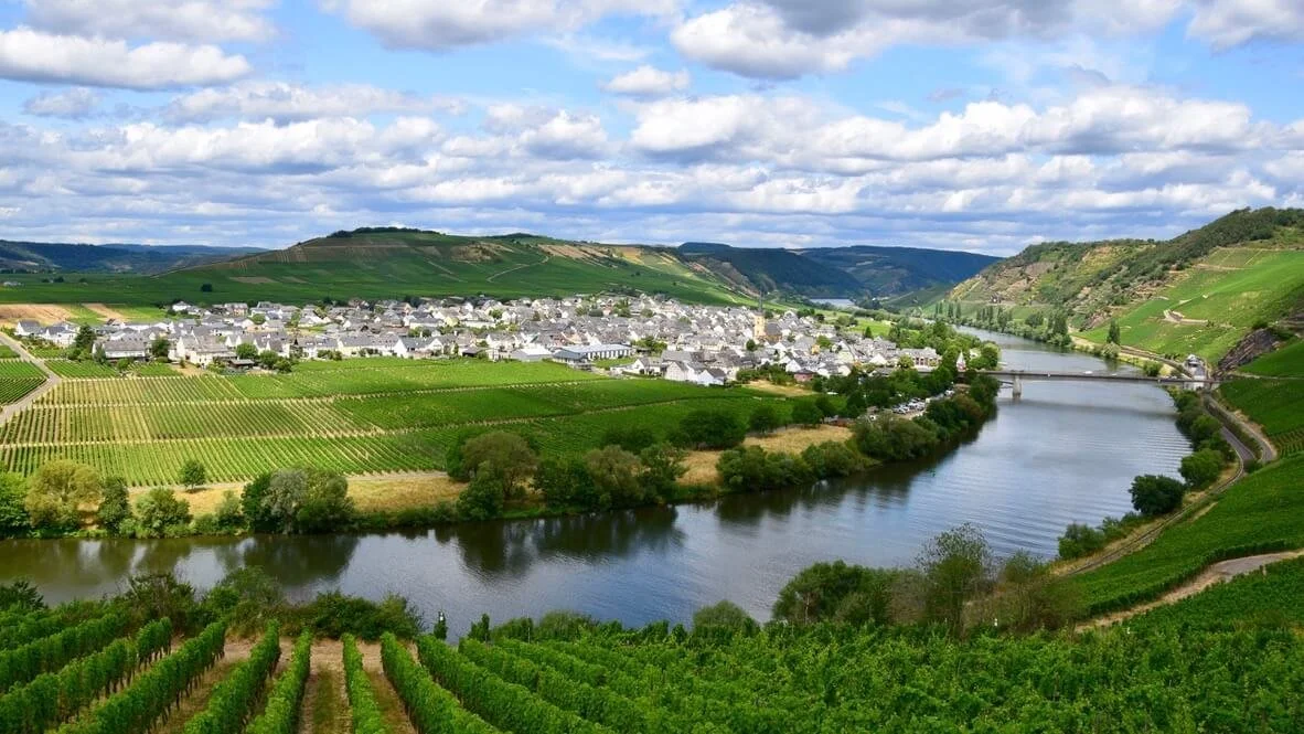 Mosel wine region Germany | Mosel Valley wine | Mosel wine tours ...