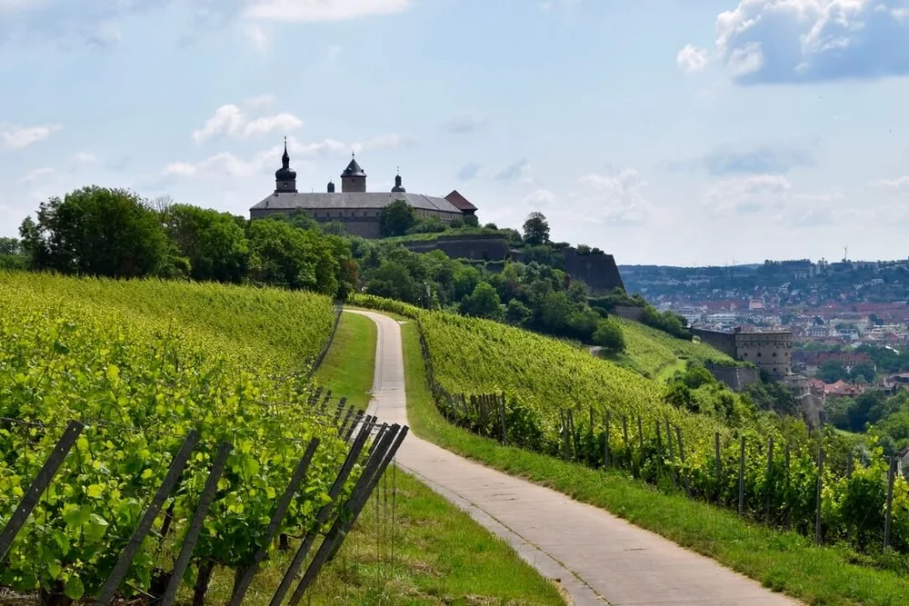 Franken wine region | Franken wine | Franken Silvaner — Winekeller -Tailored wine tours and wine ...