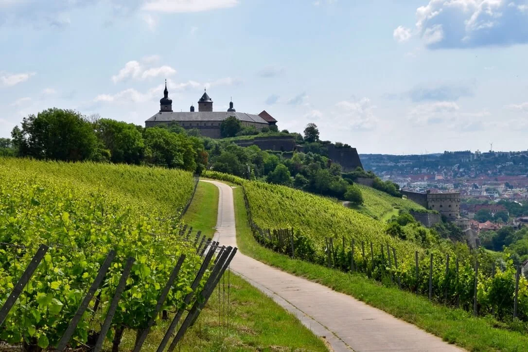 Franken wine region | Franken wine | Franken Silvaner — Winekeller -Tailored wine tours and wine ...