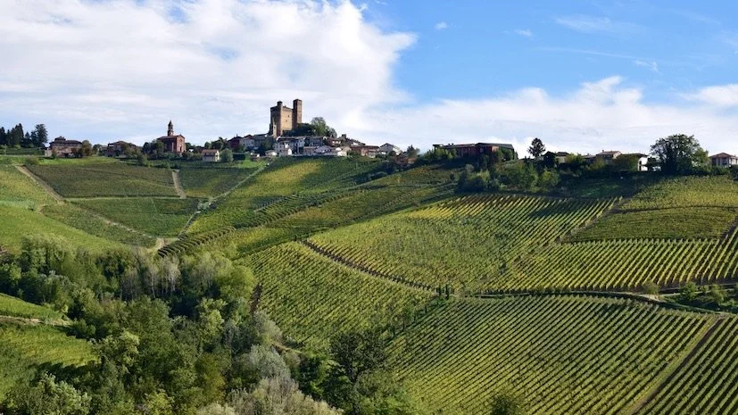 Discover Serralunga d’Alba and Italian Barolo wines — Wine Keller