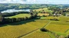 Sandridge Barton | Sharpham wine | Places to visit in South Devon ...