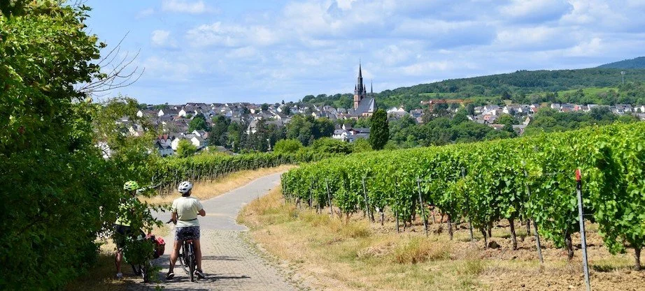 An e-bike wine tour in the beautiful Rheingau wine region — Winekeller ...