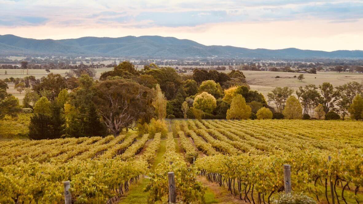 Our Mudgee wine tour - best Mudgee wines - best Mudgee wineries to ...