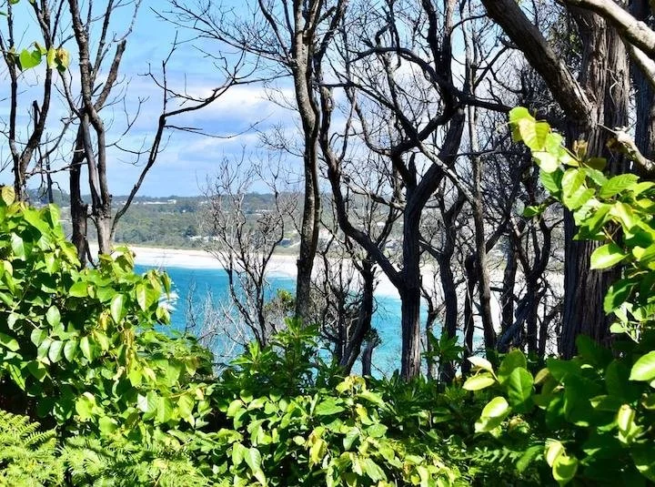 Discover Shoalhaven on the stunning New South Wales south coast — Wine ...