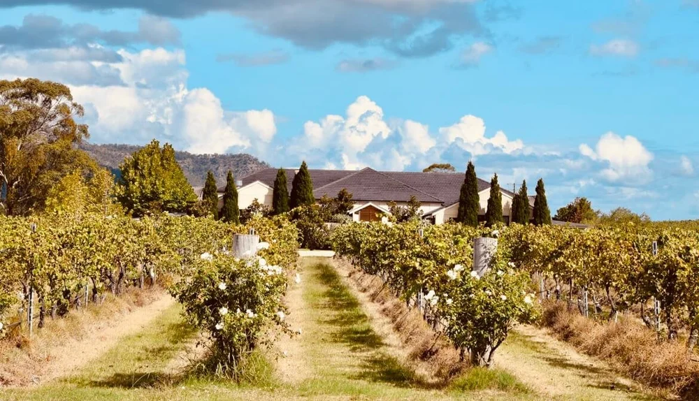 Hunter Valley wine tour from Sydney - Hunter Valley Wines — Winekeller ...