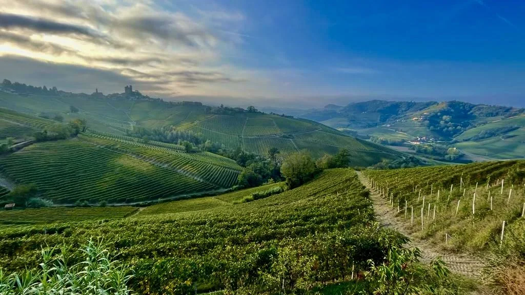 Explore the famous Barolo villages in Langhe Piemonte — Wine Keller