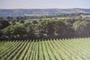 Ridgeview Estate - award-winning English sparkling wine producer ...