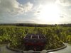 UK winery - visit to Harrow & Hope winery, Marlow, Bucks — Winekeller ...