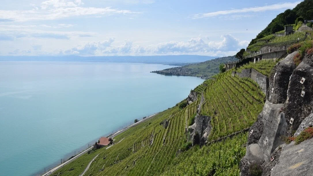 Discover the famous Lavaux vineyards on Lake Geneva Switzerland ...