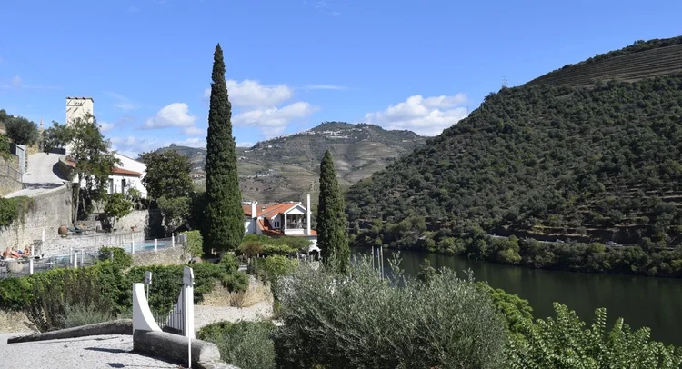 Wine regions of Portugal | Portuguese wines | Portugal wine tours ...