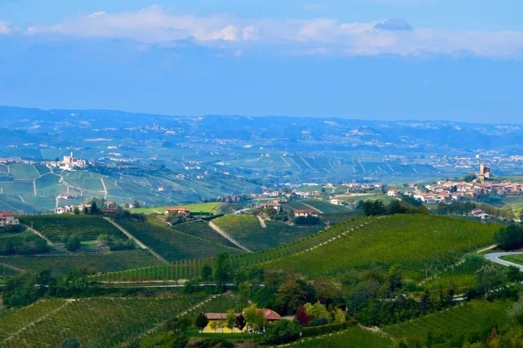 Explore the famous Barolo villages in Langhe Piemonte — Wine Keller