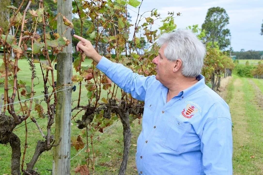 Discover Shoalhaven on the stunning New South Wales south coast — Wine ...