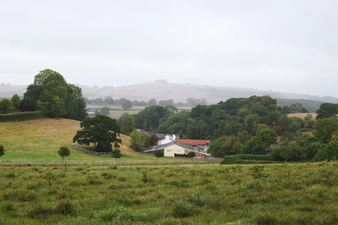 Sandridge Barton | Sharpham wine | Places to visit in South Devon ...