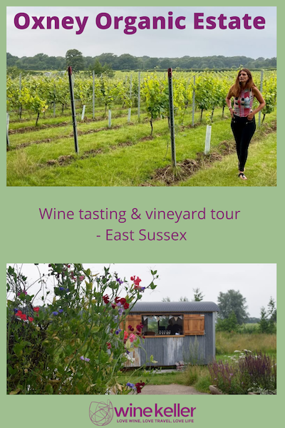 UK wine tour & tasting at Oxney Organic Estate, E. Sussex — Wine Keller